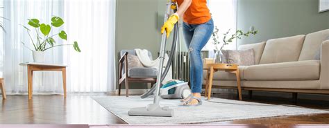 Comment se débarrasser des puce dans la maison efficacement