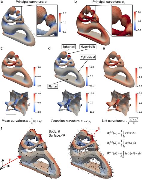 surface curvature and minkowski tensors a b the minimum κ 1 and download scientific
