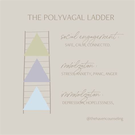 Your Physical Reactions Through The Lens Of Polyvagal Theory The Haven