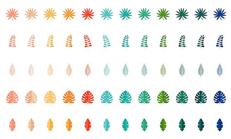 Tropical Leaves Set Vector Art PNG Set Of Summer Tropical Leaves