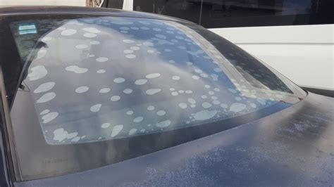 Cómo quitar el polarizado de un auto 4 pasos muy fáciles Gossip