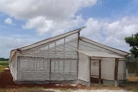 Se extiende en Cuba alternativa rústica para casas de cultivo