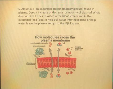 Solved 5 Albumin Is An Important Protein Macromolecule Chegg