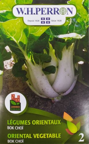Semences Bok ChoÏ W H Perron Les Serres Lambert