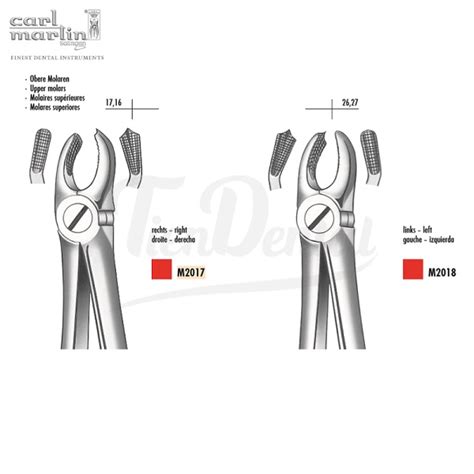 Fórceps Molar Superior Modelo Pequeño Carl Martin