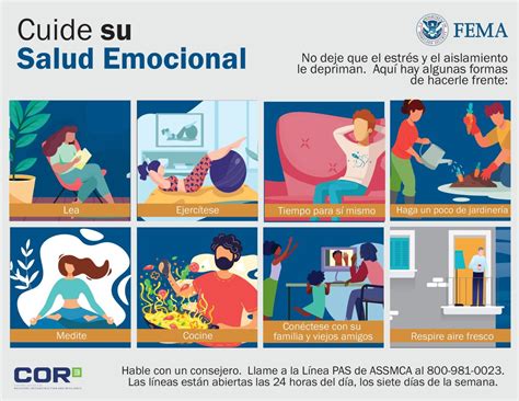 Infografía Cuide su salud emocional Walo Radio 1240 AM