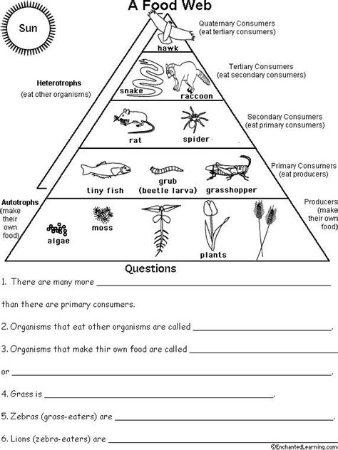 Behr John Biology Chapter 13 Ecological Pyramid Biology Worksheet