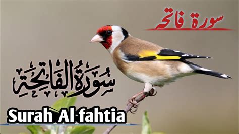 Surah Fatiha 100 Times I Surah Fatiha Short Video I Surah Al Fatiha I