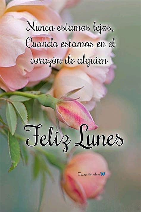 Arriba 56 Imagen Frases De Buenos Dias Lunes Viaterra Mx