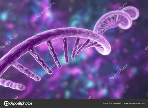 Modelo Molecular Cido Ribonucleico Mensageiro Mrna Ilustra O Fotos