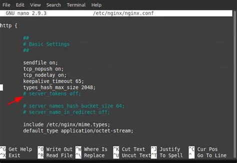 how to hide nginx version on your server