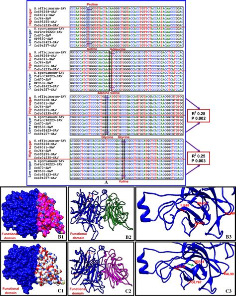 multiple nucleotide sequence alignment a and predicted homology download scientific diagram