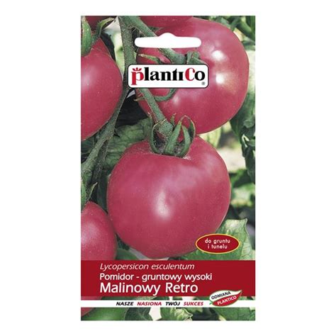 Pomidor Gruntowy Malinowy Retro 10g Standard Plantico Rolno Ogrodniczy Pl
