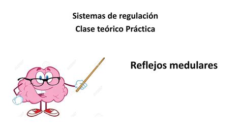 Reflejos Medulares Aliovys Caltona La Rosa UDocz