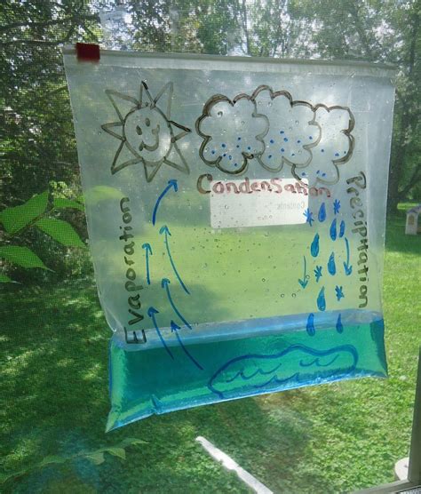 Water Cycle Cycle De L Eau Science Pour Enfants Sciences L Cole