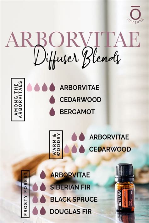 Pin On Aceites Esenciales Doterra Diffuser Blends Doterra Essential