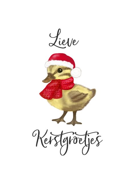 Vintage Kerstkaart Met Eendje Met Kerstmuts En Kaartje2go