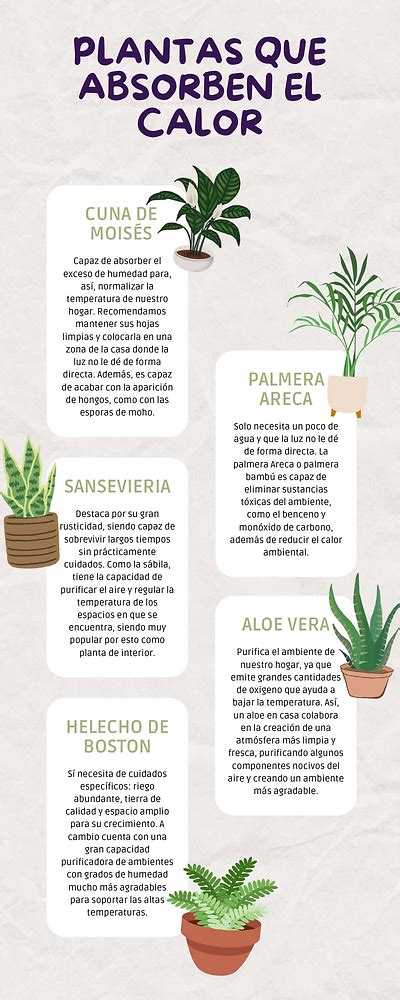 Plantas Que Absorben El Calor