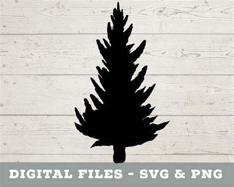 Kiefer Baum Clipart SVG Kiefer Baum SVG Kiefer Baum Clipart Etsy Schweiz