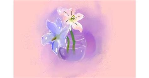 Drawing Of Lily Flower By Why Drawize Gallery
