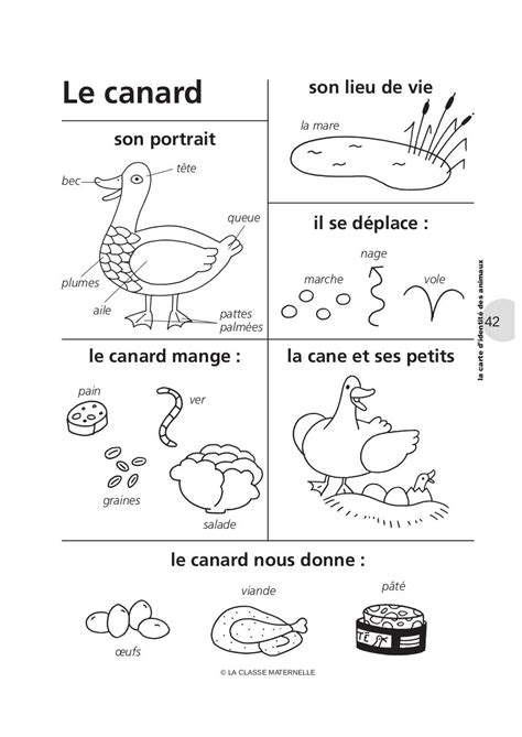 Carte Identité Animaux Maternelle Meteor