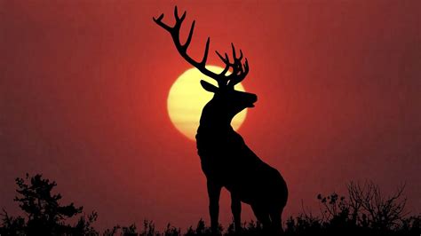 Reindeers Wallpapers Wallpaper Cave