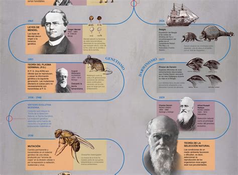 Francisca Veas Evolución Biológica