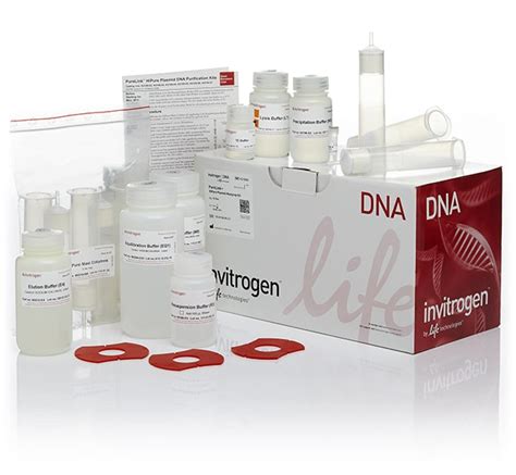 PureLink HiPure Plasmid Maxiprep Kit Thermo Fisher Scientific