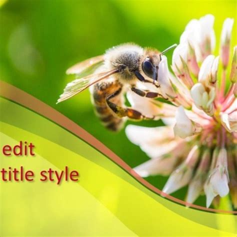 Free Bee Powerpoint Template Bee Template Templates Bee Farm