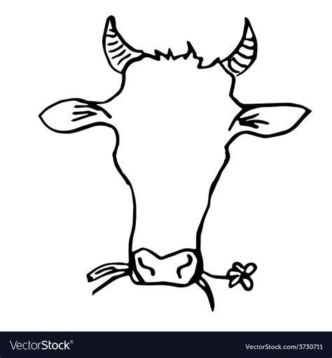 Cow Head Royalty Free Vector Image VectorStock