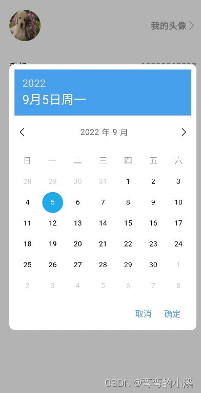 jquery实现移动端手机选择日期日历插件 jquery日历 csdn博客