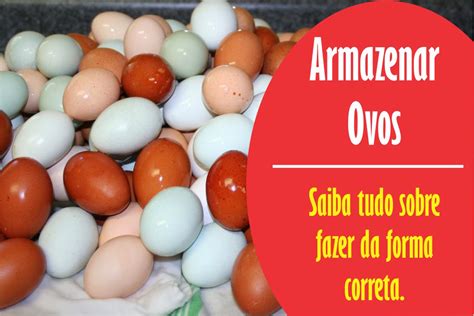 Como Armazenar Os Ovos De Galinha Para Chocar E Ovos Para Comercializar