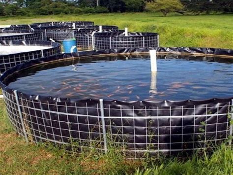 Biofloc Fish Farming Training Centres Courses Complete Details Inside