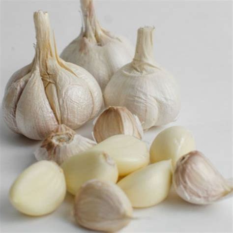 Bawang Putih Kating Sinco Honan 1 KG Lazada Indonesia