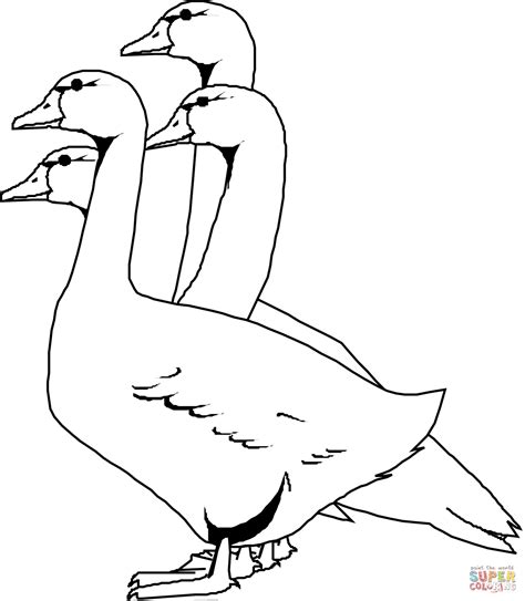 Four Geese Coloring Page Free Printable Coloring Pages