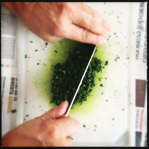 Bagnet Verd Il Bagnetto Verde Piemontese