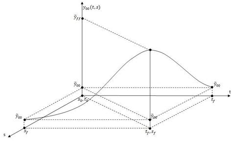 representation of the approximating solution download scientific diagram