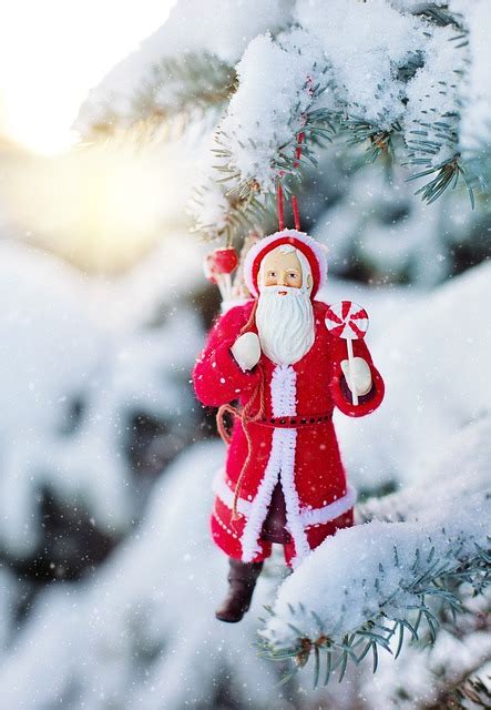 Nisse Ornament Snødekte Treet Snø Gratis foto på Pixabay