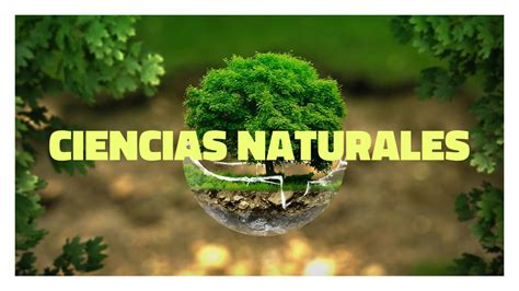 CLASIFICACIÓN DE LA CIENCIA Ramas Disciplinas y Características