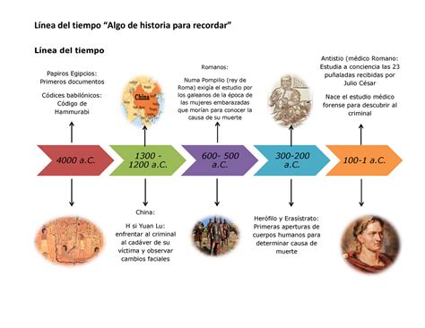 L Nea Del Tiempo Forense Del Tiempo De Historia Para Del Tiempo