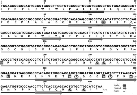 Nucleotide Sequence And Corresponding Amino Acid Coding Region Of