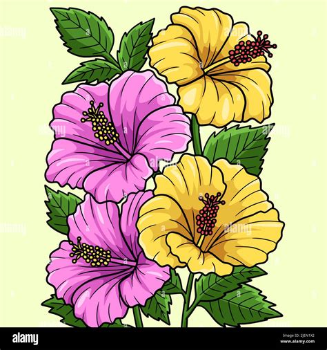 Hardy Hibiscus Stock Vector Images Alamy
