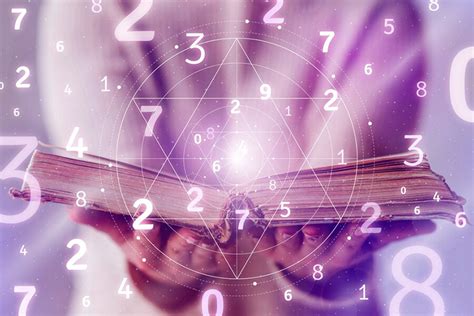 Autoridade e equilíbrio saiba como será 2024 segundo a numerologia