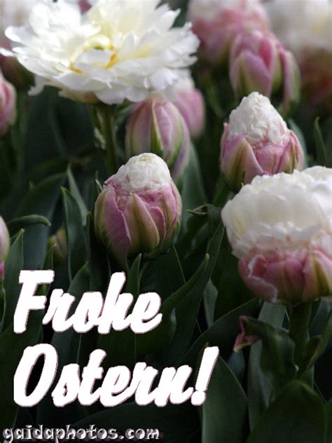 Ostern und Osterfest Sprüche Wünsche Weisheiten Zitate Aphorismen