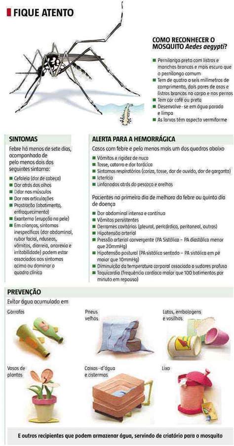 Dengue tipo 4 avança na capital mineira Gerais Estado de Minas