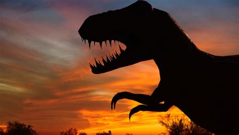 Gros dindon ou grand lézard À quoi ressemblait vraiment le T Rex
