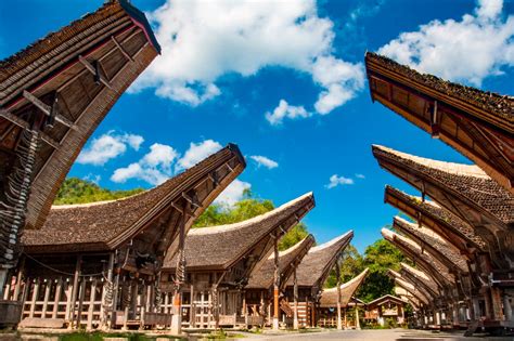 Mengenal Tongkonan Rumah Adat Khas Toraja Where Your Journey Begins