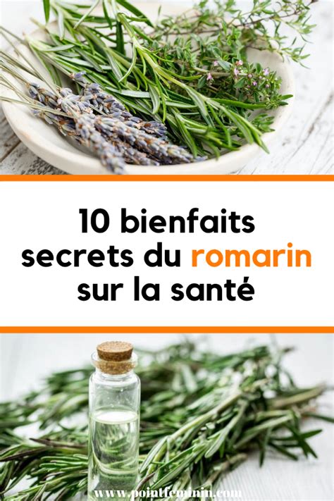 10 bienfaits secrets du romarin sur la santé Romarin Santé Huile de