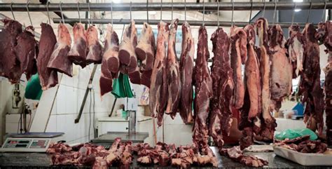 Exportações de carne bovina brasileira caem 43 em outubro