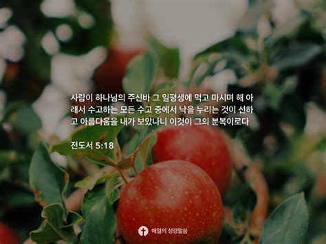 전도서 5 18 Daily Bible Inspirations